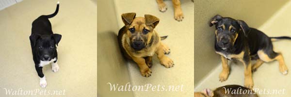 May | 2012 | GaPundit | Page 6