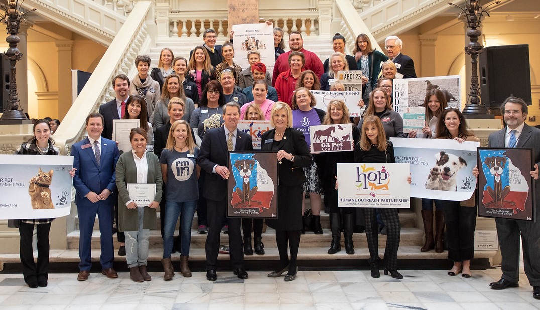 Adoptable (Official) Georgia Dogs for February 25, 2024 | GaPundit